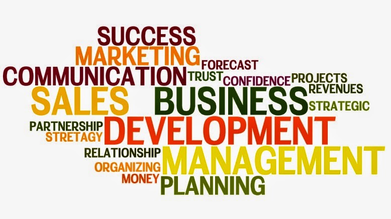 Mastering the Art of Leading Sales and Business Development Teams ...