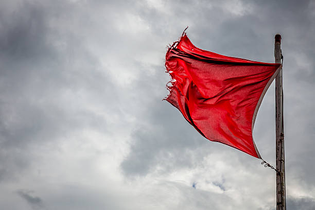 Beware of Red Flags: 8 Reasons Your Business Isn’t Ready for ...